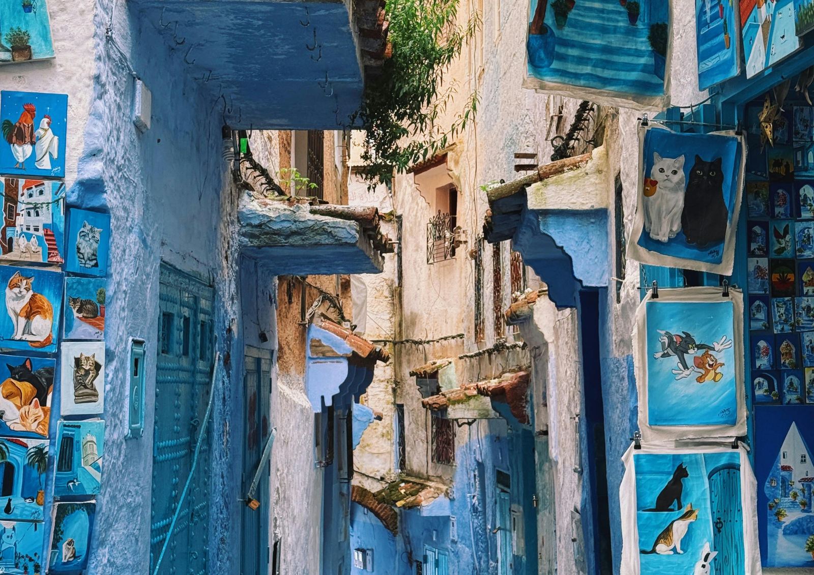 13 Day Morocco Tour from Casablanca to the Sahara Desert - Compass ...